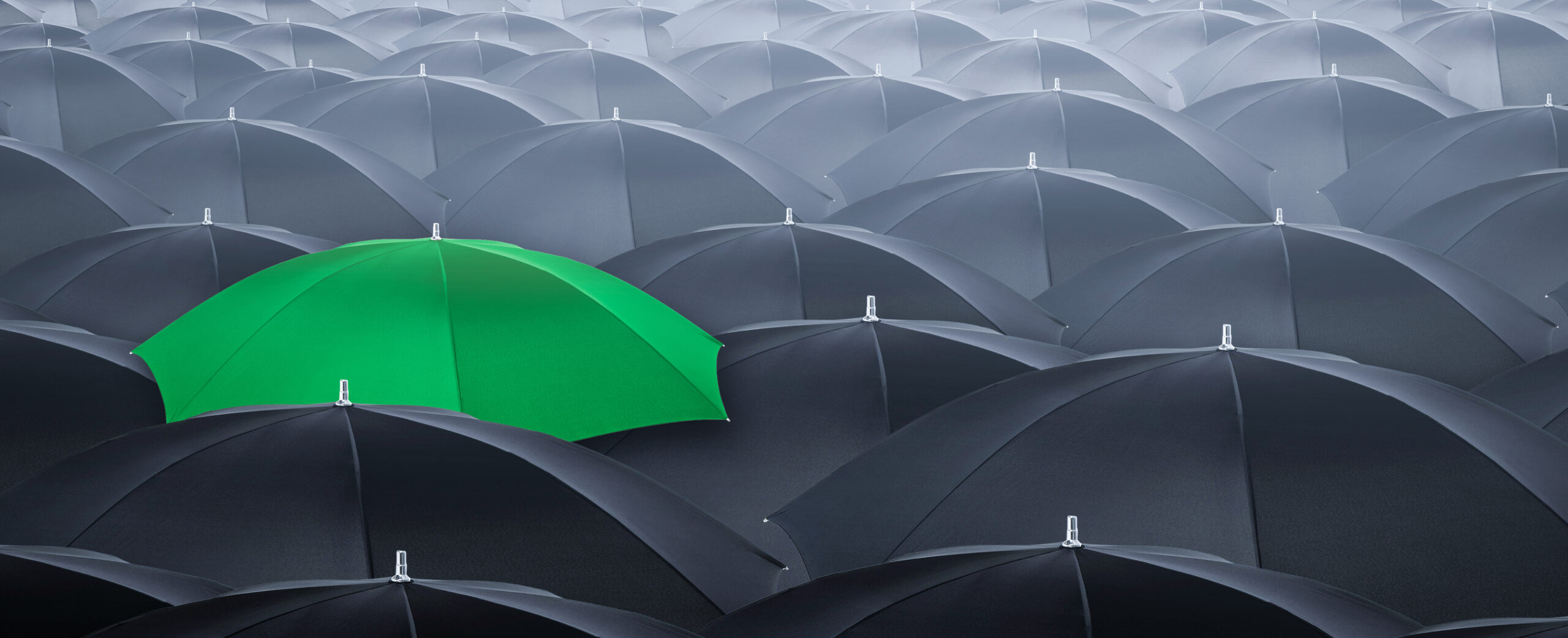 Do not lose Focus - Stay Organized. Stay Sharp - Michael White Group